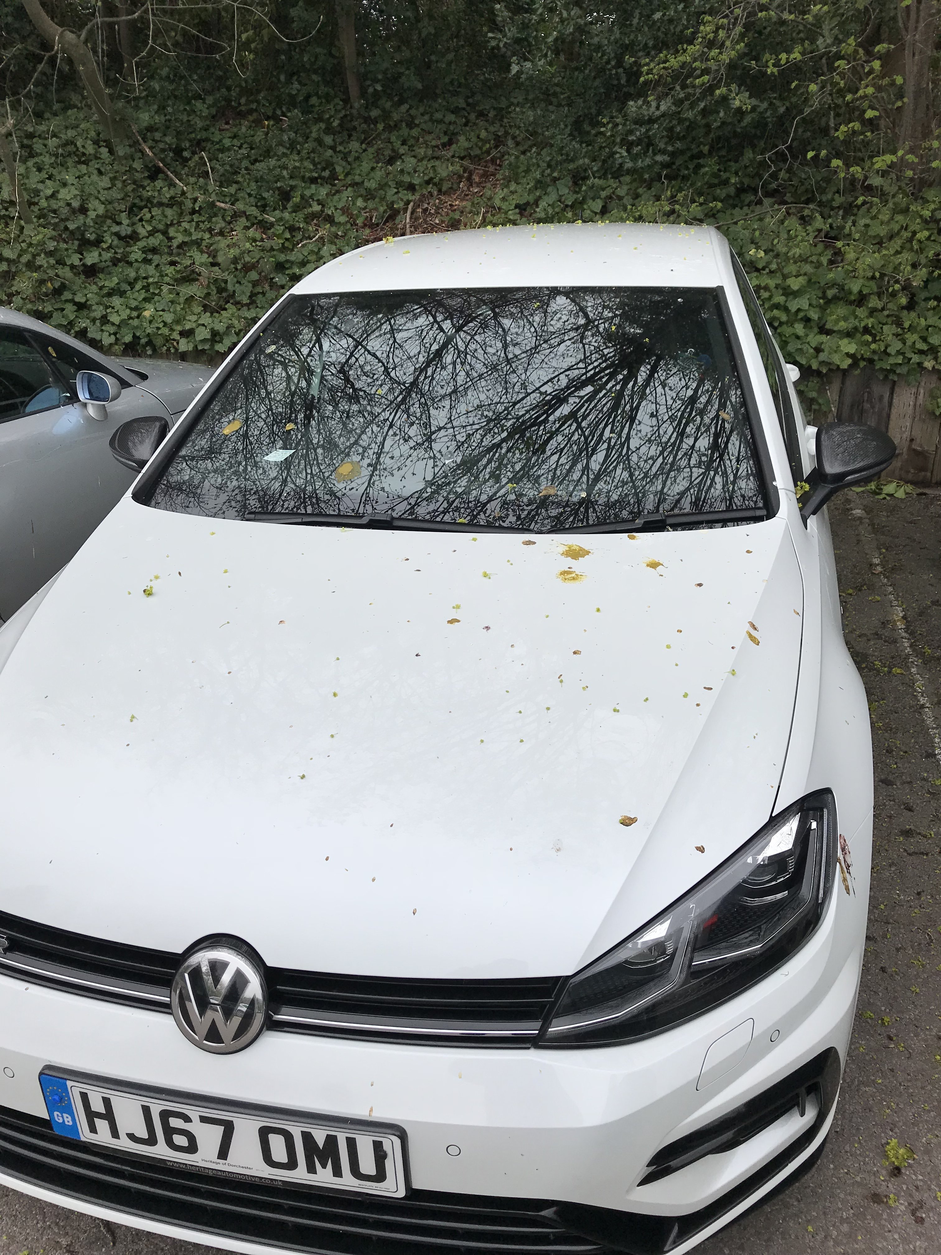 Bird Poo...!!!! - R Detailing - VWROC - VW R Owners Club