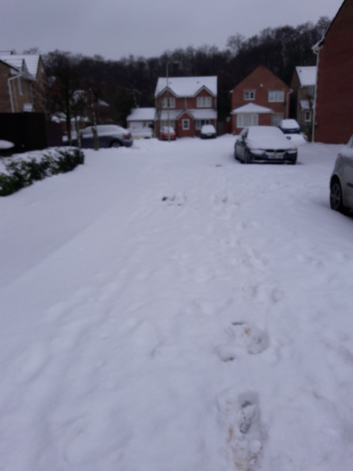 Anyone running Ronal R50 on a MK7? - Modifying your Golf R MK7 - VWROC ...