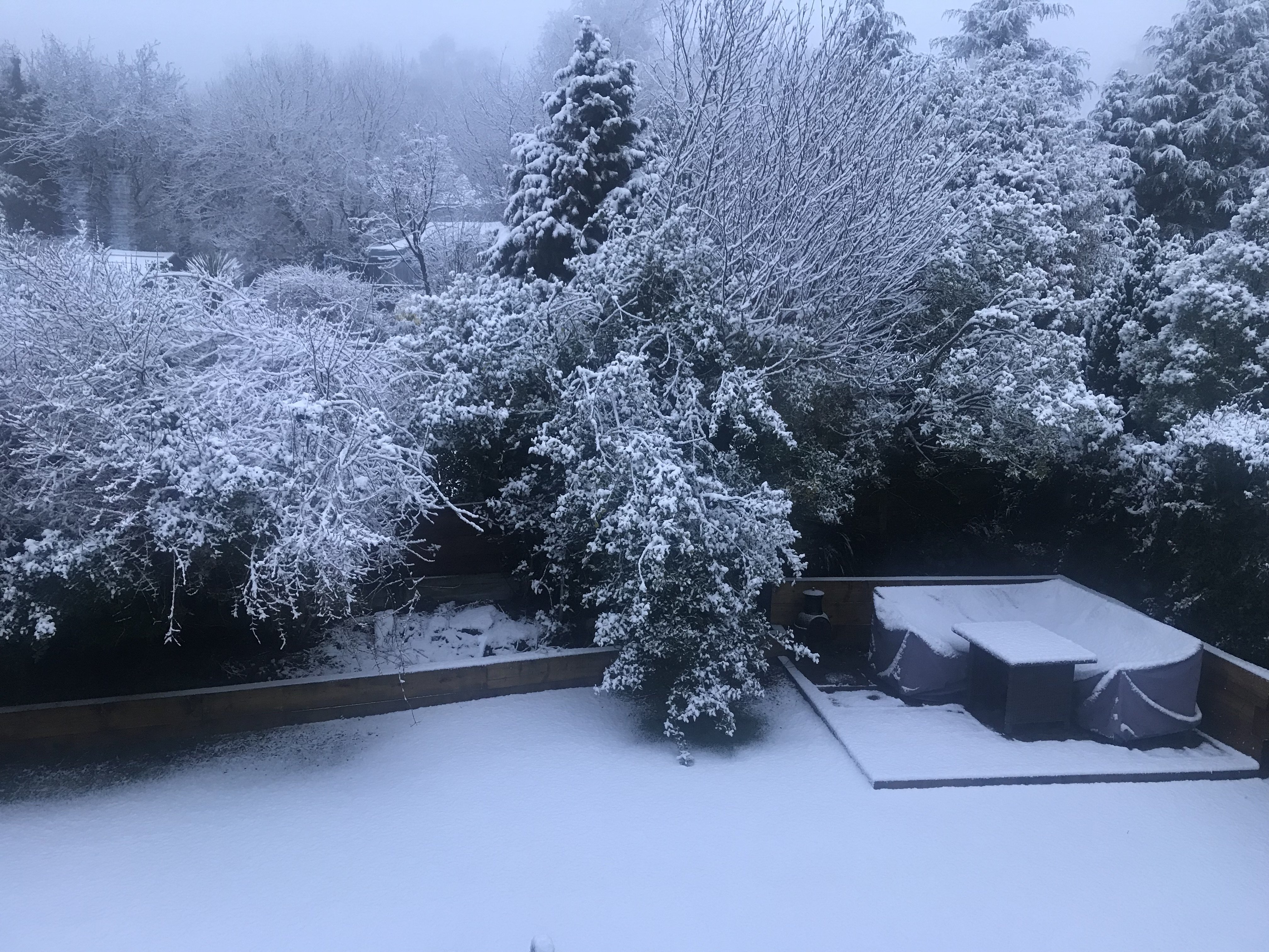 Golf GTi TCR vs Golf R - VW Golf R MK7 Chat - VWROC - VW R Owners Club