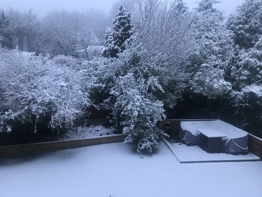 Golf GTi TCR vs Golf R - VW Golf R MK7 Chat - VWROC - VW R Owners Club