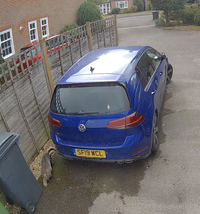 Collinite - R Detailing - VWROC - VW R Owners Club