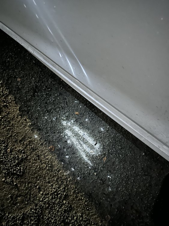 Puddle lights - VW Golf R MK8 Chat - VWROC - VW R Owners Club