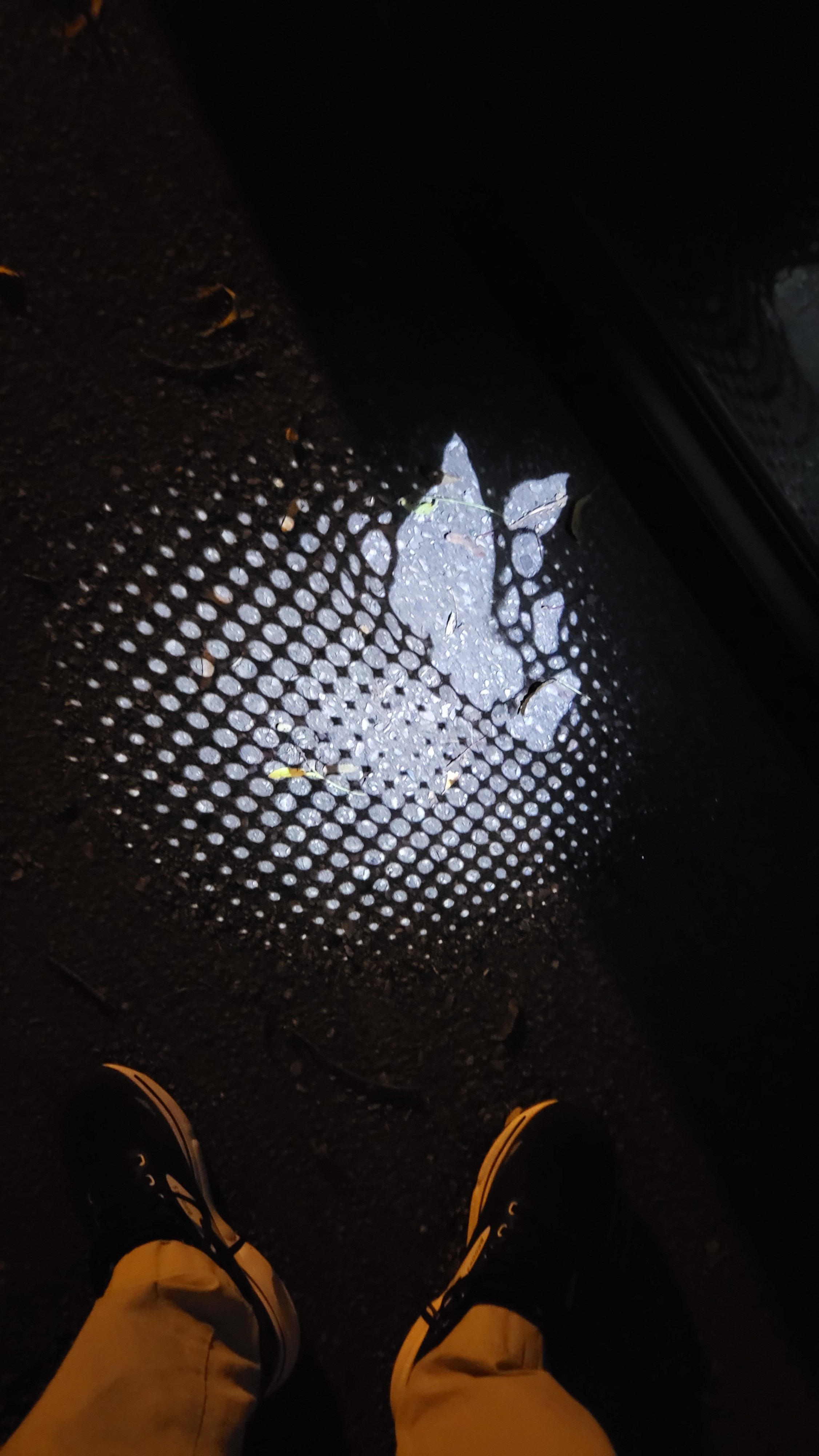 puddle lights | VW Vortex - Volkswagen Forum