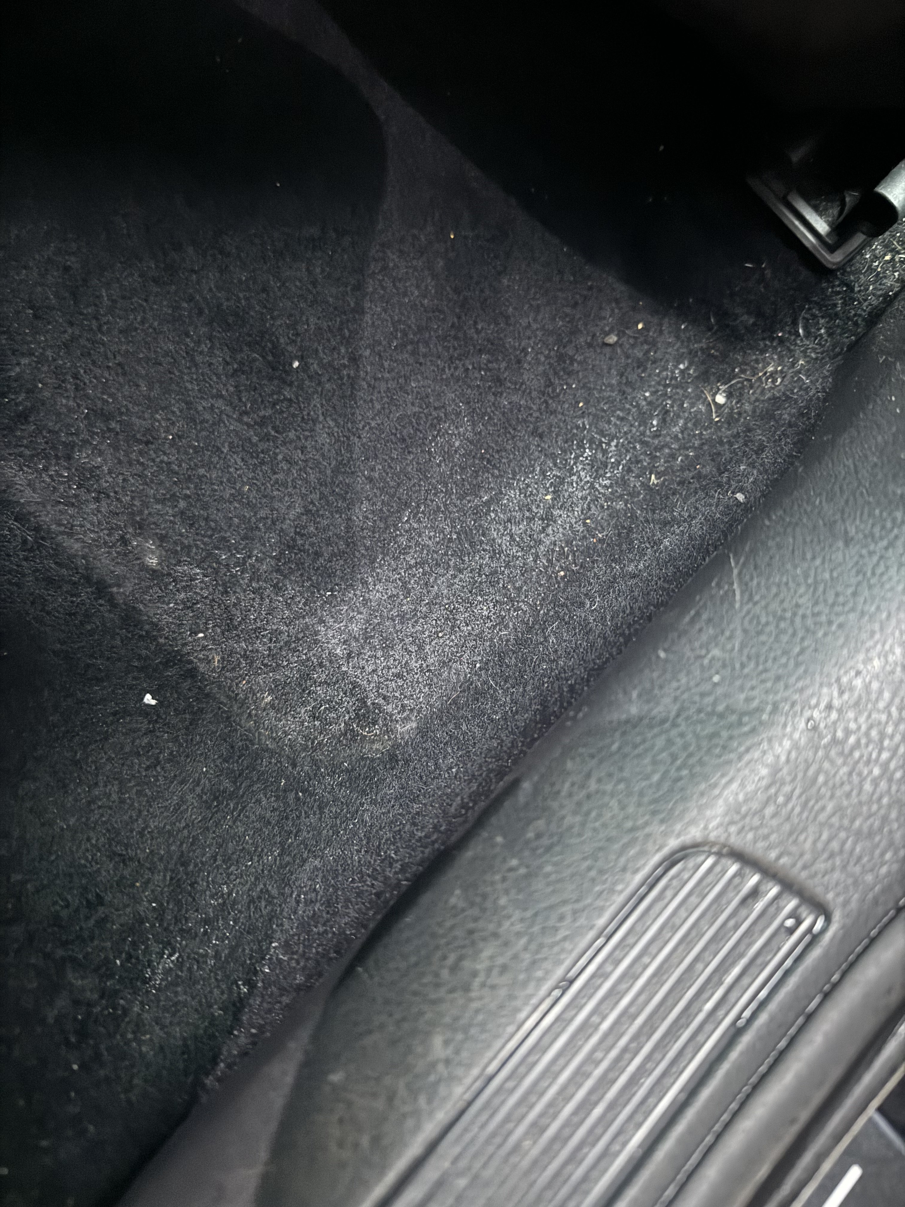 Water in rear footwell - VW Golf R MK7 Chat - VWROC - VW R Owners Club