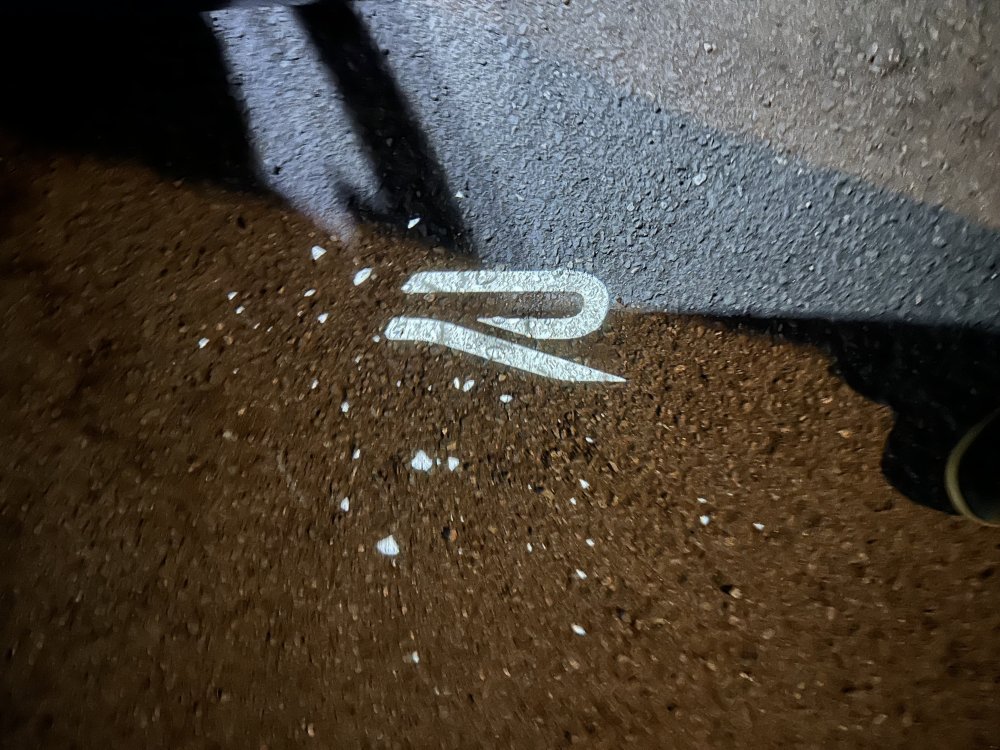 Puddle lights - VW Golf R MK8 Chat - VWROC - VW R Owners Club