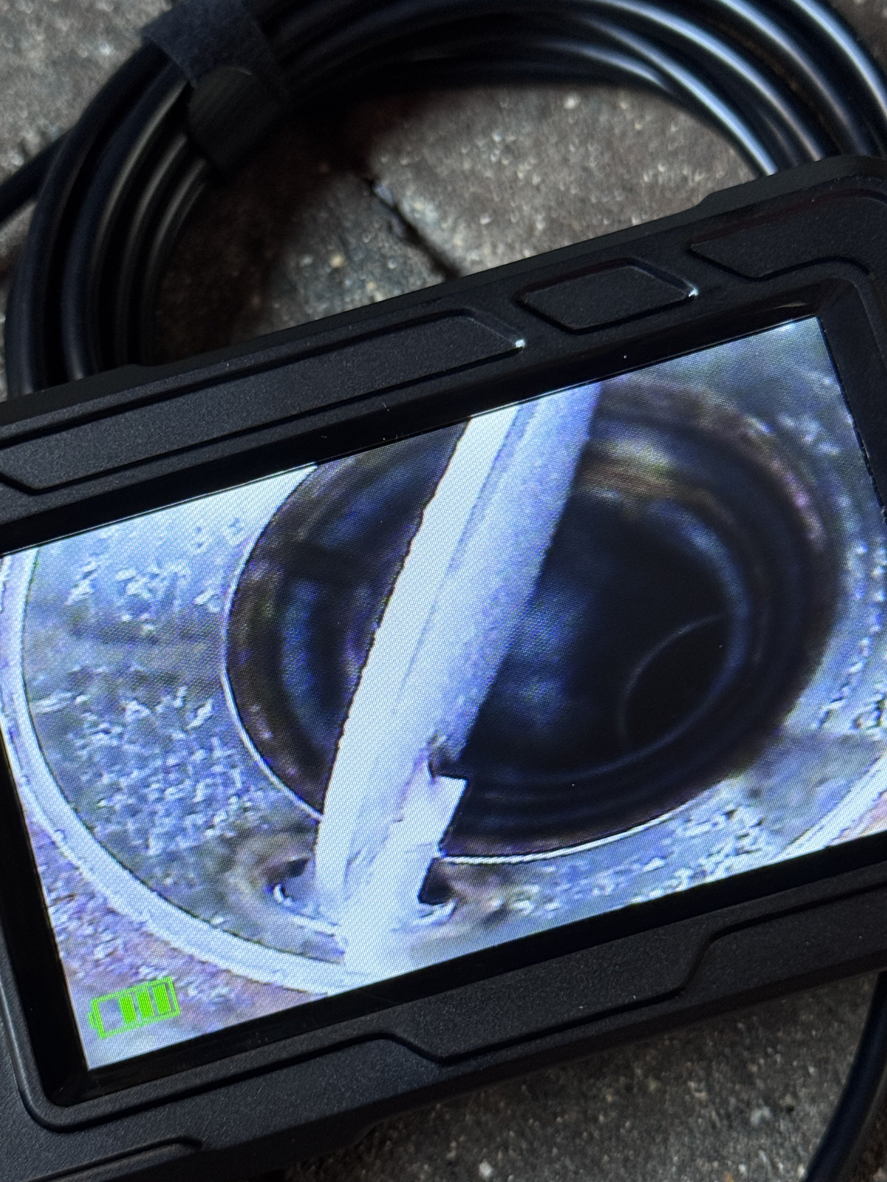 Mk8.5 with performance pack vs Mk8 performance pack exhaust. - VW Golf ...